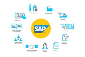 SAP ERP là gì? Đánh giá tổng quan về phần mềm SAP ERP